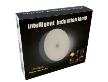INTELLIGENT INDUCTION LAMP | InkPro CC